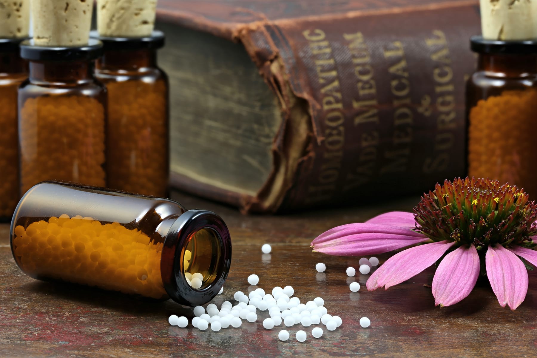 The Fascinating Principle of "Like Cures Like" in Homeopathy - CHE