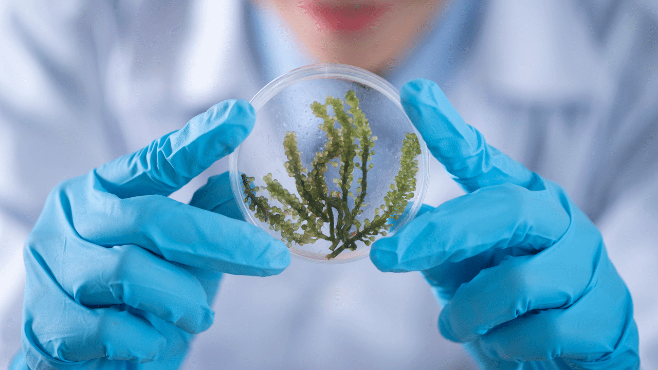 Science, Skeptics & Speaking Up